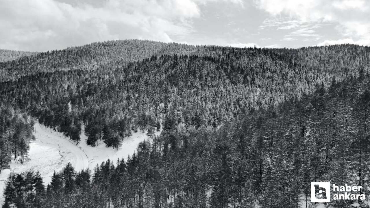 Kızılcahamam, Çubuk ve Çamlıdere'de yaylalar beyaza büründü - HABER ANKARA